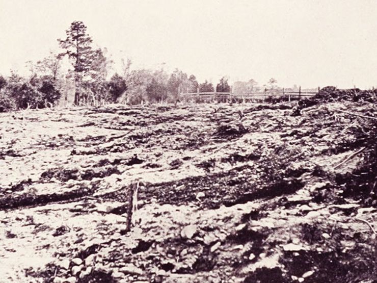 Traces of the Dead: The Haunted Battleground of Cold Harbor