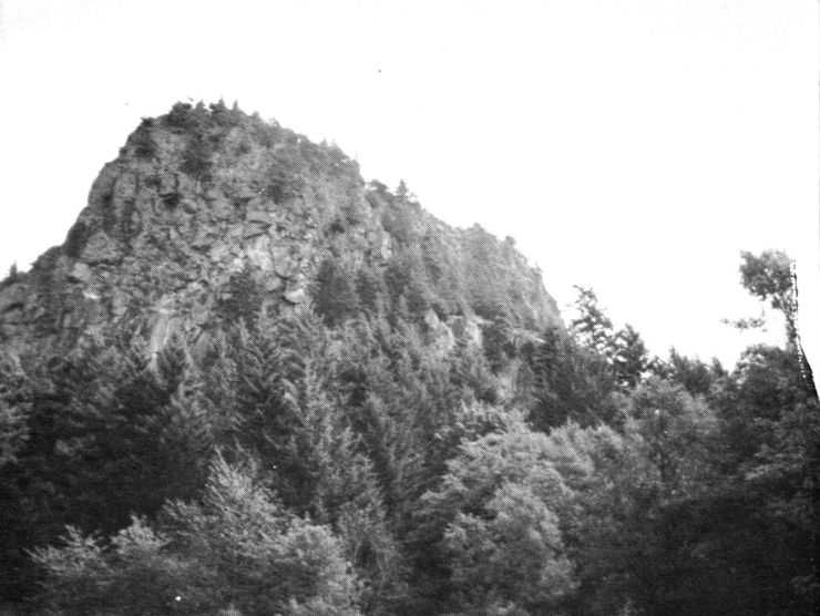 Randy Roth: The Wife Killer Who Almost Got Away With Murder