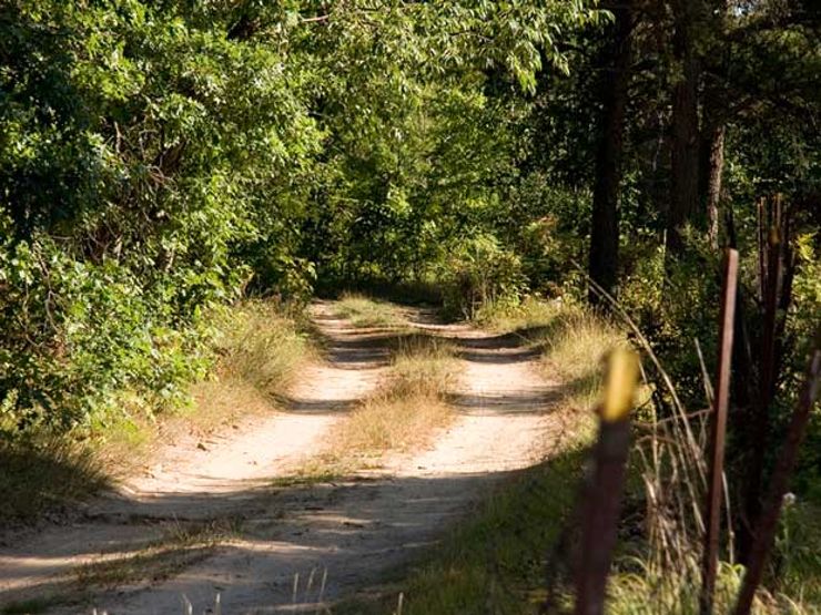 Pere Cheney: The Michigan Ghost Town Cursed by a Witch