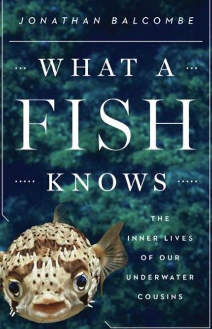 10 Incredible Books About the Ocean