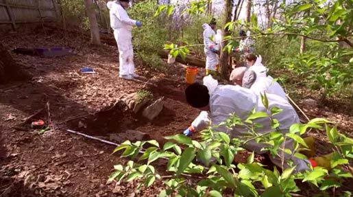 The Body Farm Tennessee: A Journey to the Forensic Land of the Dead