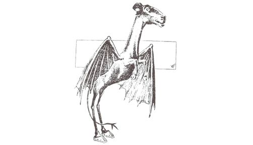 What is a Cryptid—And Where Can You Find Them?