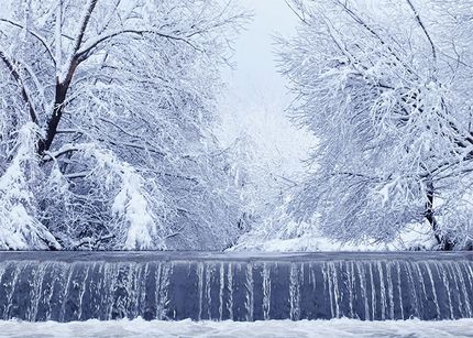Winter of Frozen Dreams: The Chilling True Crime Case of Barbara Hoffman