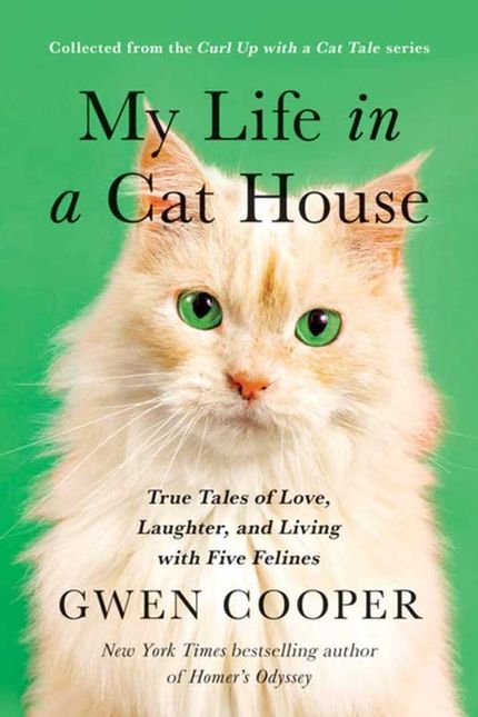 14 of the Best Cat Books for Cat Lovers
