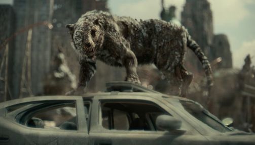 13 of the Scariest Cats of Horror Films