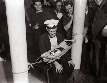 The Long and Curious History of Ship Cats