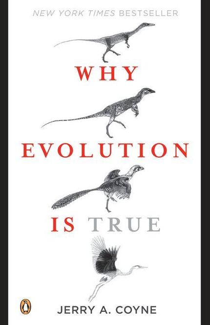 From Science to Scandals: 10 Books About Evolution
