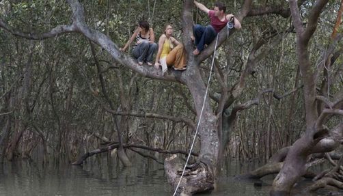 47 of the Best Creature Feature Films