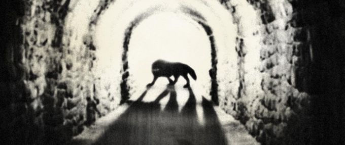 What Are the Scariest SCPs? Here Are the Top 10