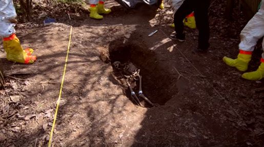 The Body Farm Tennessee: A Journey to the Forensic Land of the Dead