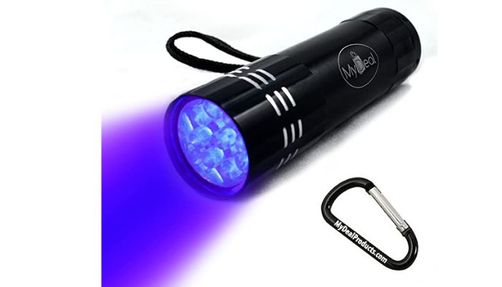 Everything You Need to Be a Ghost Hunter