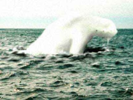 21 Creepy Mythical Creatures from Around the World That Terrify