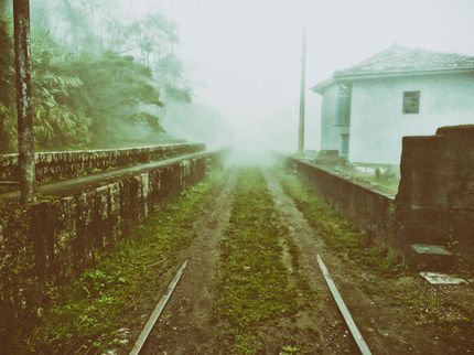 10 Scary Stories From Creepy Catalog That Will Give You Nightmares