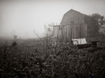 10 Scary Stories From Creepy Catalog That Will Give You Nightmares