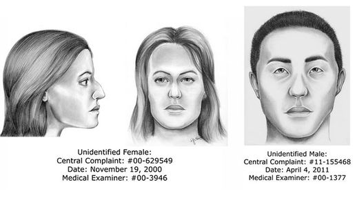 Bodies on the Beach: The Long Island Serial Killer Cold Case