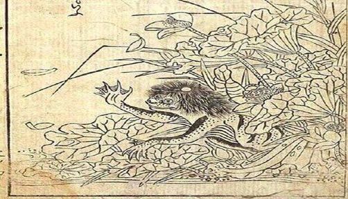 Mythical Water Creatures to Capture Your Imagination