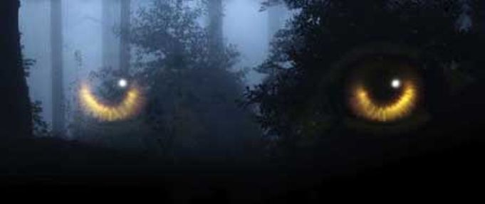 16 Hair-Raising Cryptid Books That Just Might Make You Believe