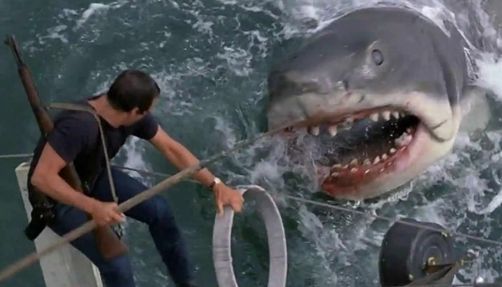 47 of the Best Creature Feature Films