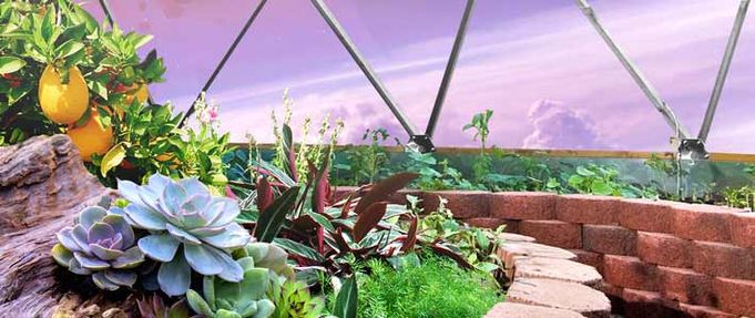14 Solarpunk Books for When You Crave Optimistic Sci-Fi