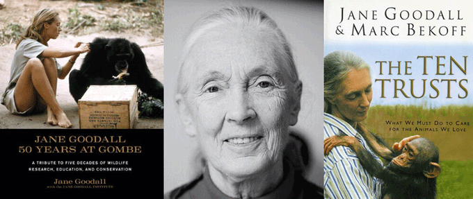Remembering the Groundbreaking Legacy of Conservationist, Jane Goodall