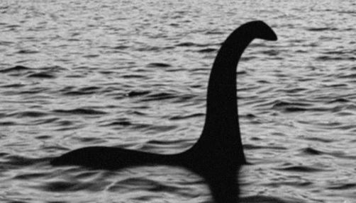 What is a Cryptid—And Where Can You Find Them?