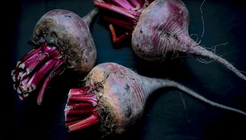 9 of the Weirdest Deaths of All Time