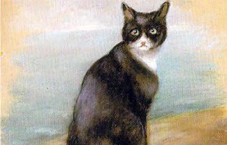 The Long and Curious History of Ship Cats