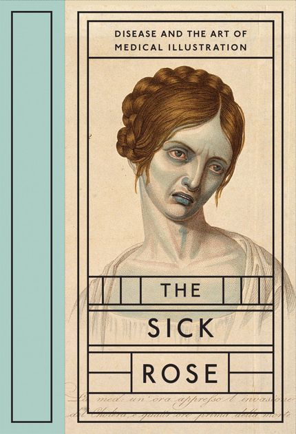 Sick Rose: Disease and the Art of Medical Illustration