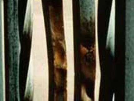 Resurrection Mary: The Eerie Tale of Chicago's Most Famous Ghost