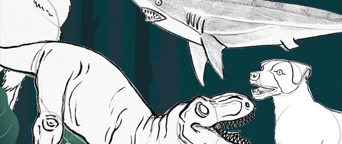 10 Easy Animal Drawing Books for Beginning Artists