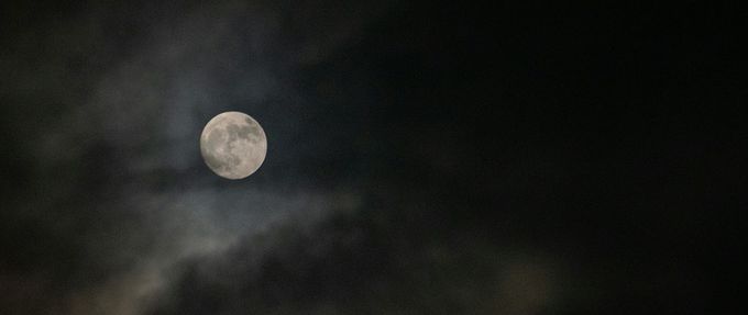 The History of Werewolf Transformation Stories in Fiction