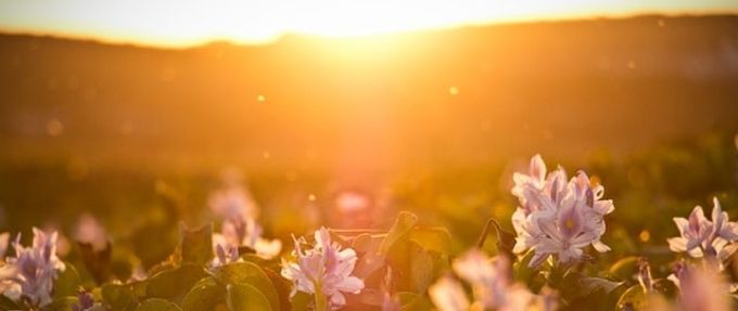 Short Inspirational Poems To Brighten Your Day