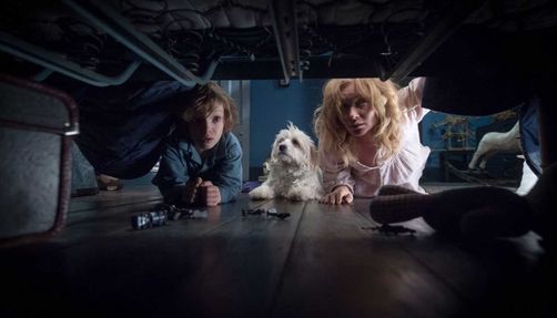 15 Influential Female Horror Directors—and Their Best Horror Movies