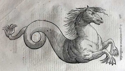 Mythical Water Creatures to Capture Your Imagination