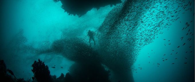 16 Aquatic Horror Books To Dive Into