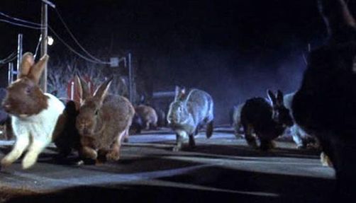 47 of the Best Creature Feature Films