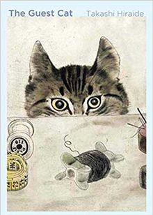 14 of the Best Cat Books for Cat Lovers