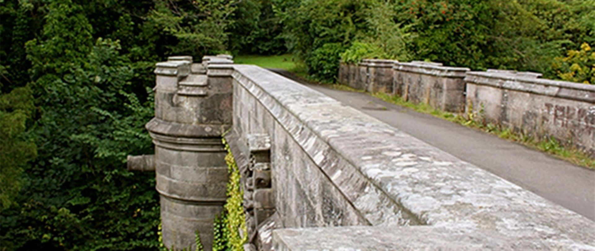 The Overtoun Bridge Phenomena