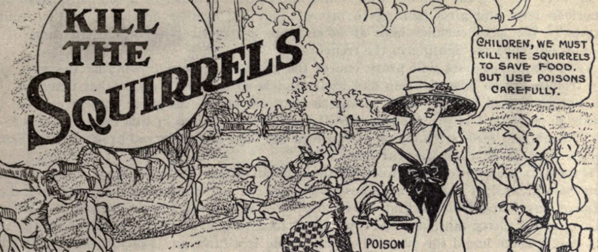 Army Squirrel Drawing