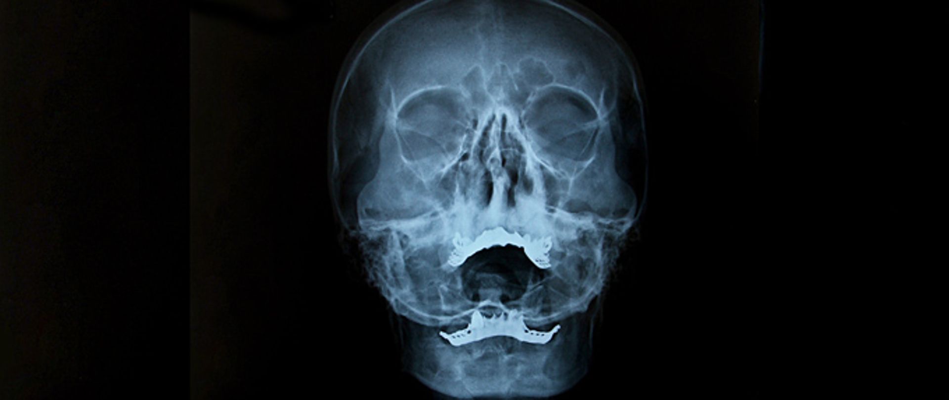 Medical University Of Tennessee Body Farm Body Farm: UT Forensics