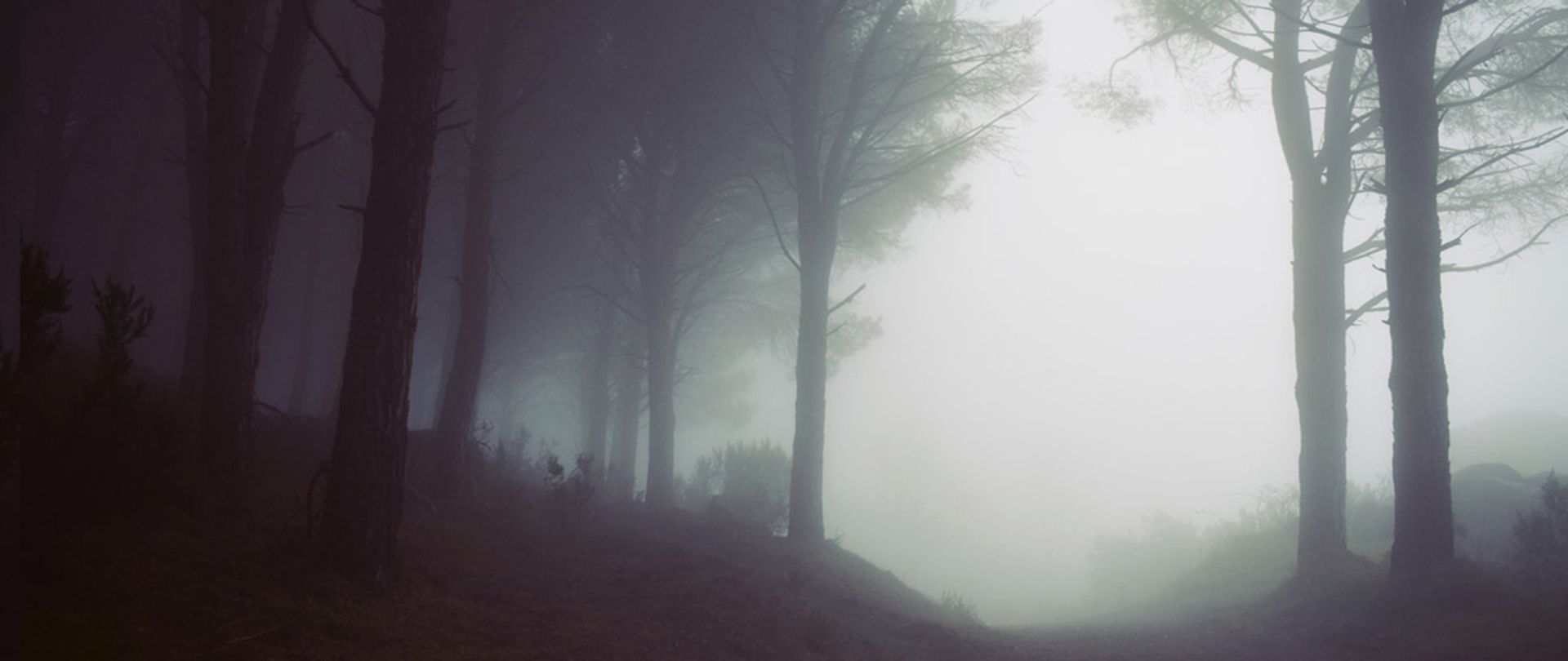 Pukwudgie Sightings Indiana's Hidden Cryptids: The Legend Of The